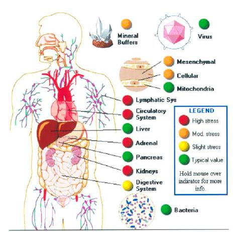 B.T.A. Lab Analysis – Pathways Holistic Natural Medicine