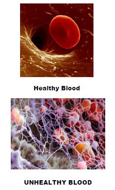 Live Blood Analysis – Pathways Holistic Natural Medicine